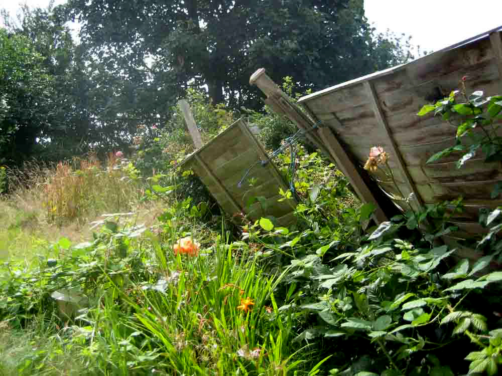 A message from the Wirral | Weeds up to me knees