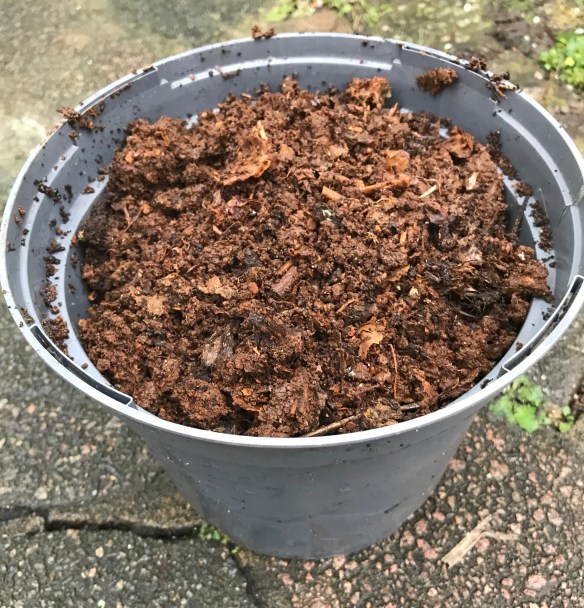 Make your own luck (and muck) | Weeds up to me knees